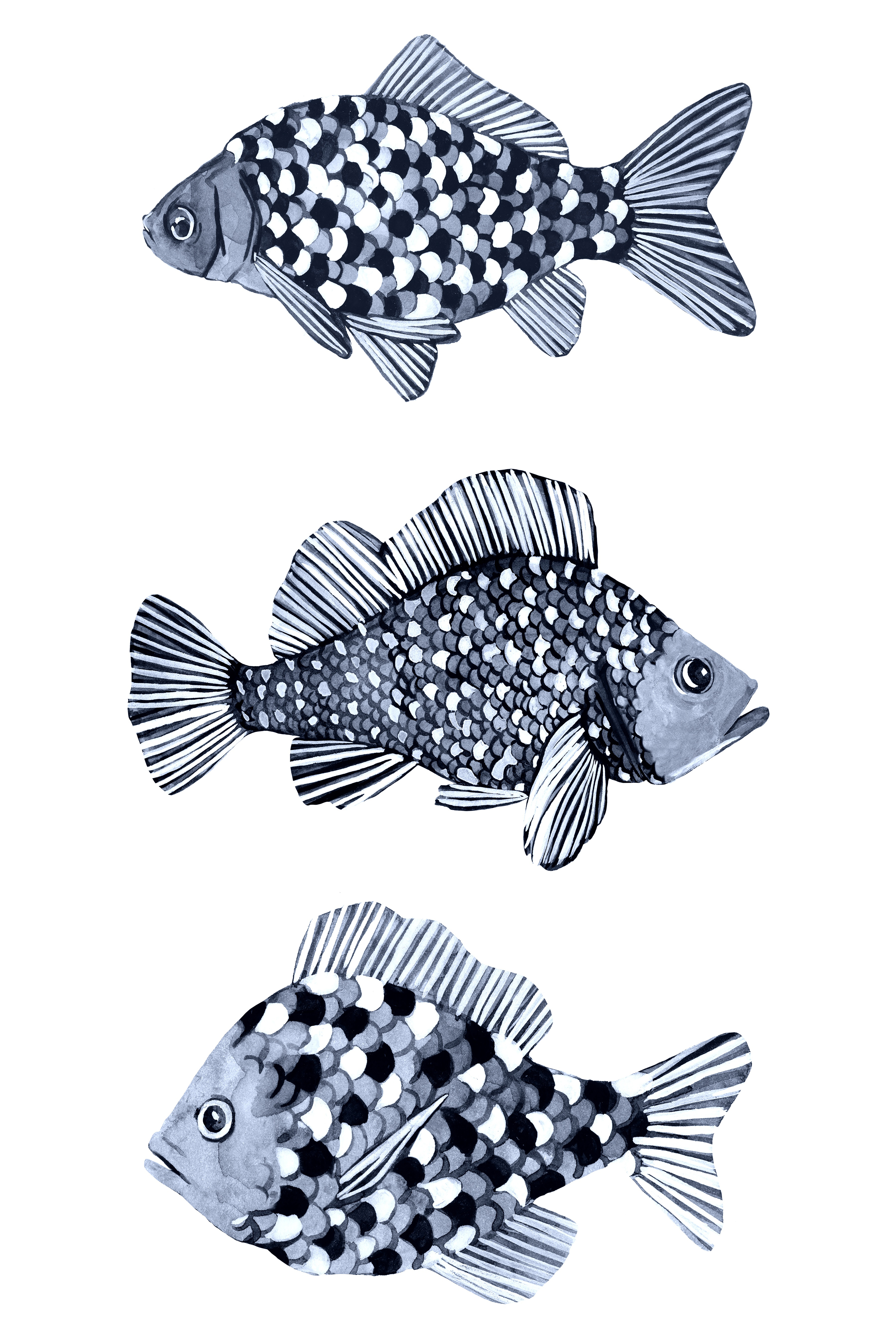 Highland Dunes Blue Fish II by Emma Scarvey - Painting | Wayfair.co.uk