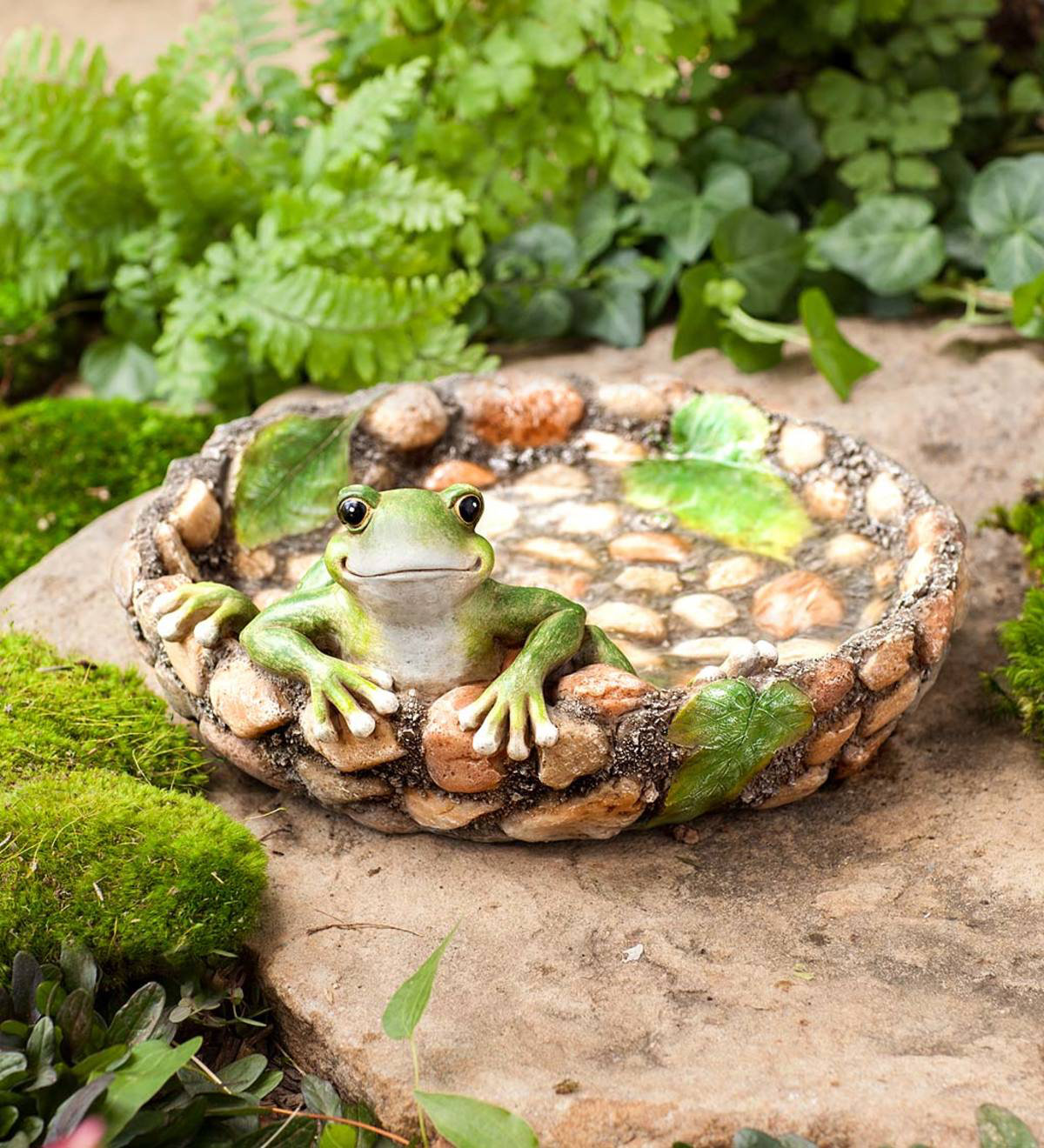 Wind & Weather Happy Frog Tabletop Bird Bath & Reviews - Wayfair Canada