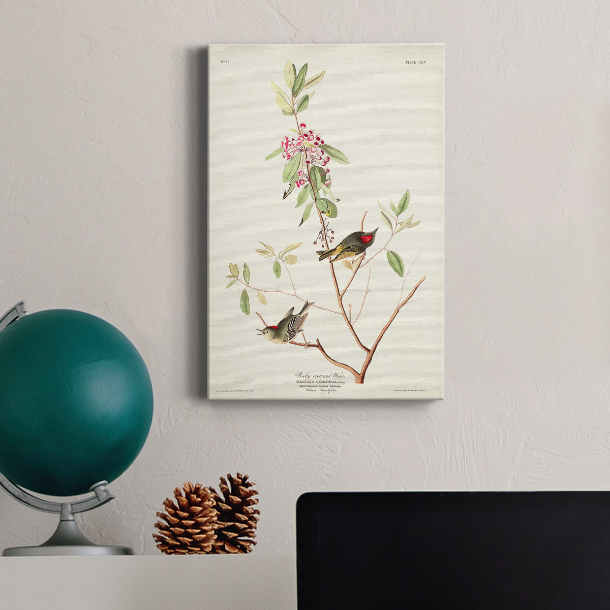 Winston Porter Pl. 195 Ruby-Crowned Wren Premium Gallery Wrapped Canvas ...