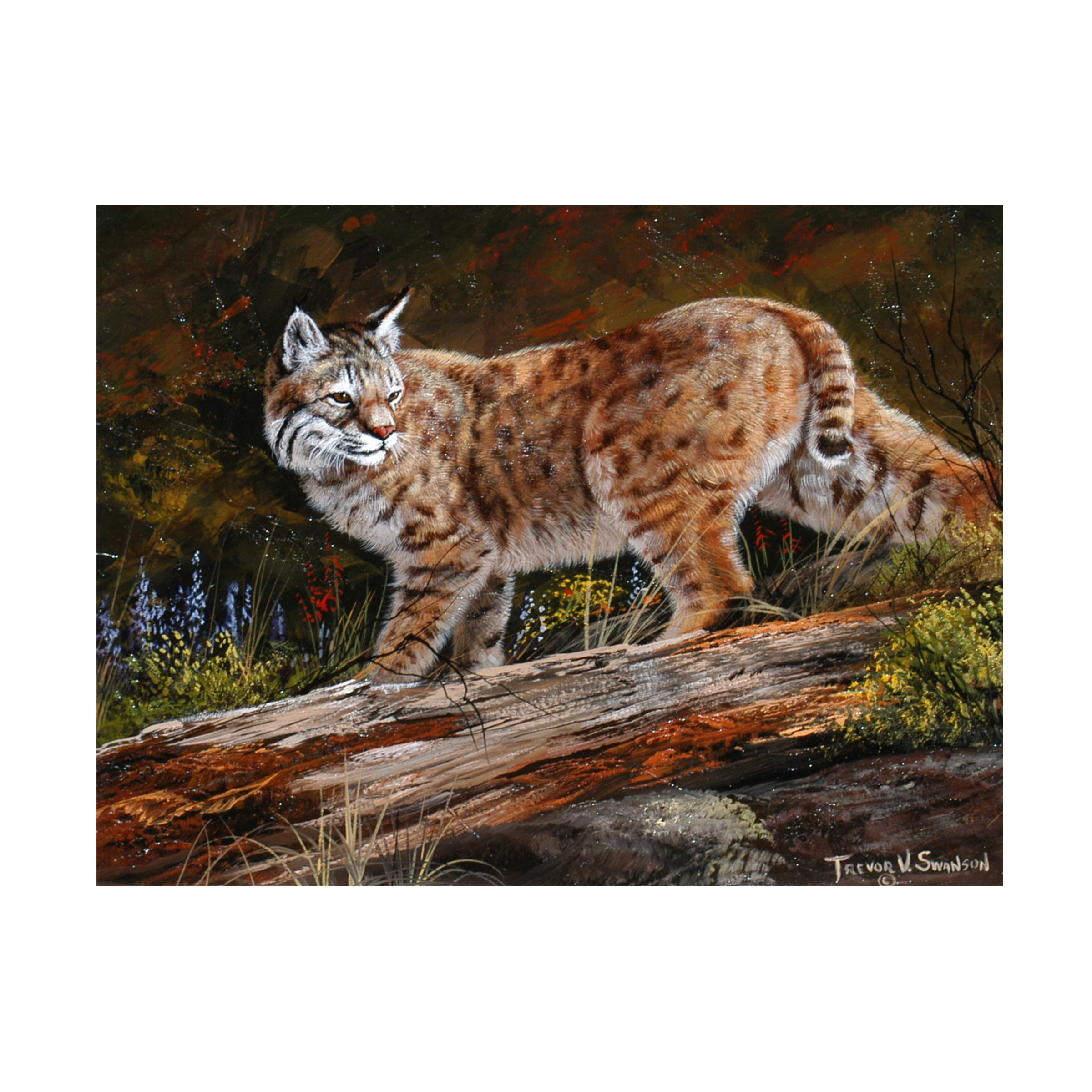 Winston Porter Glancing Back by Trevor V. Swanson | Wayfair