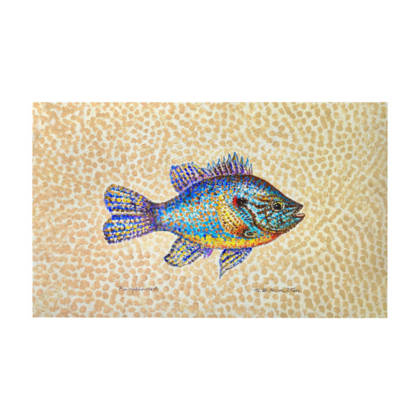 Bless international Pumpkinseed Fish Door Mat - Wayfair Canada