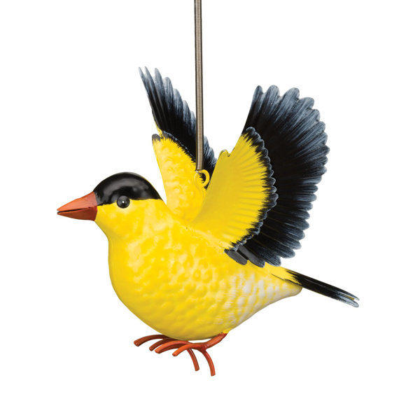Regal Art & Gift Bird Bouncie - Gold Finch | Wayfair