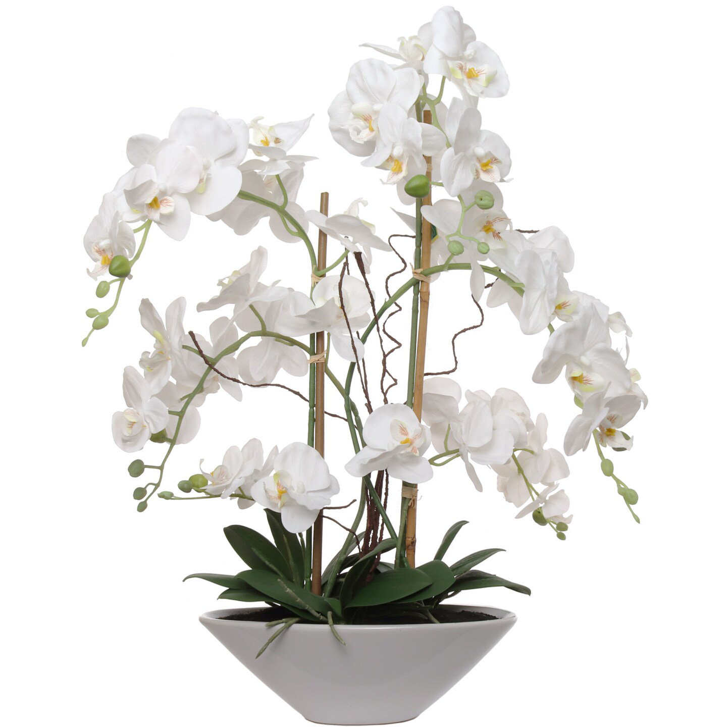 Wayfair.com - Online Home Store for Furniture, Decor, Outdoors & More