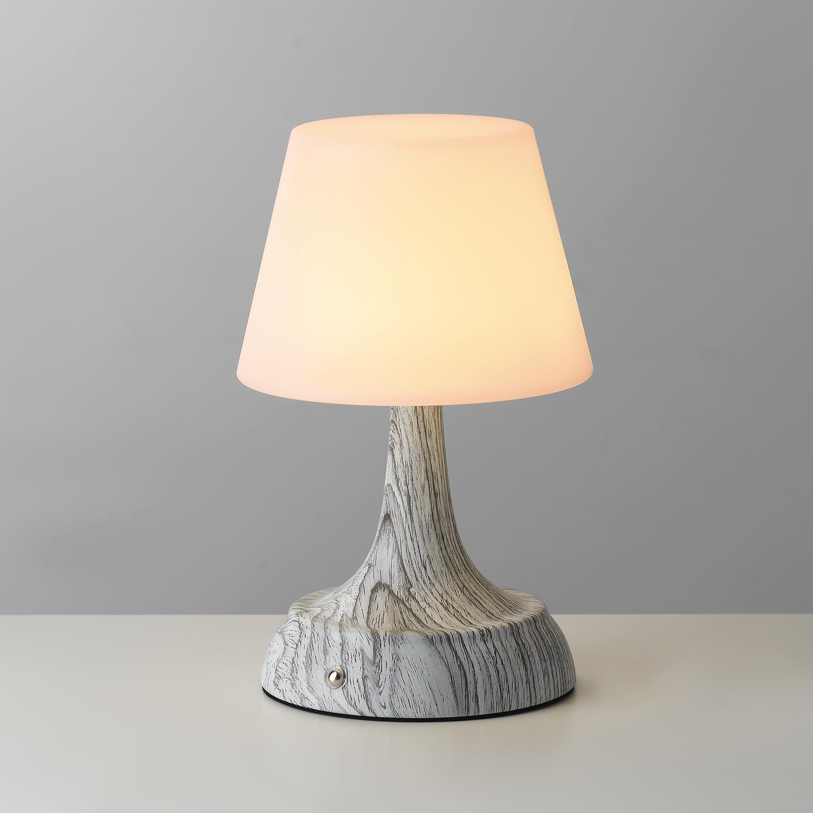 August Grove® Cordless Small LED Table Lamp, Modern Portable ...