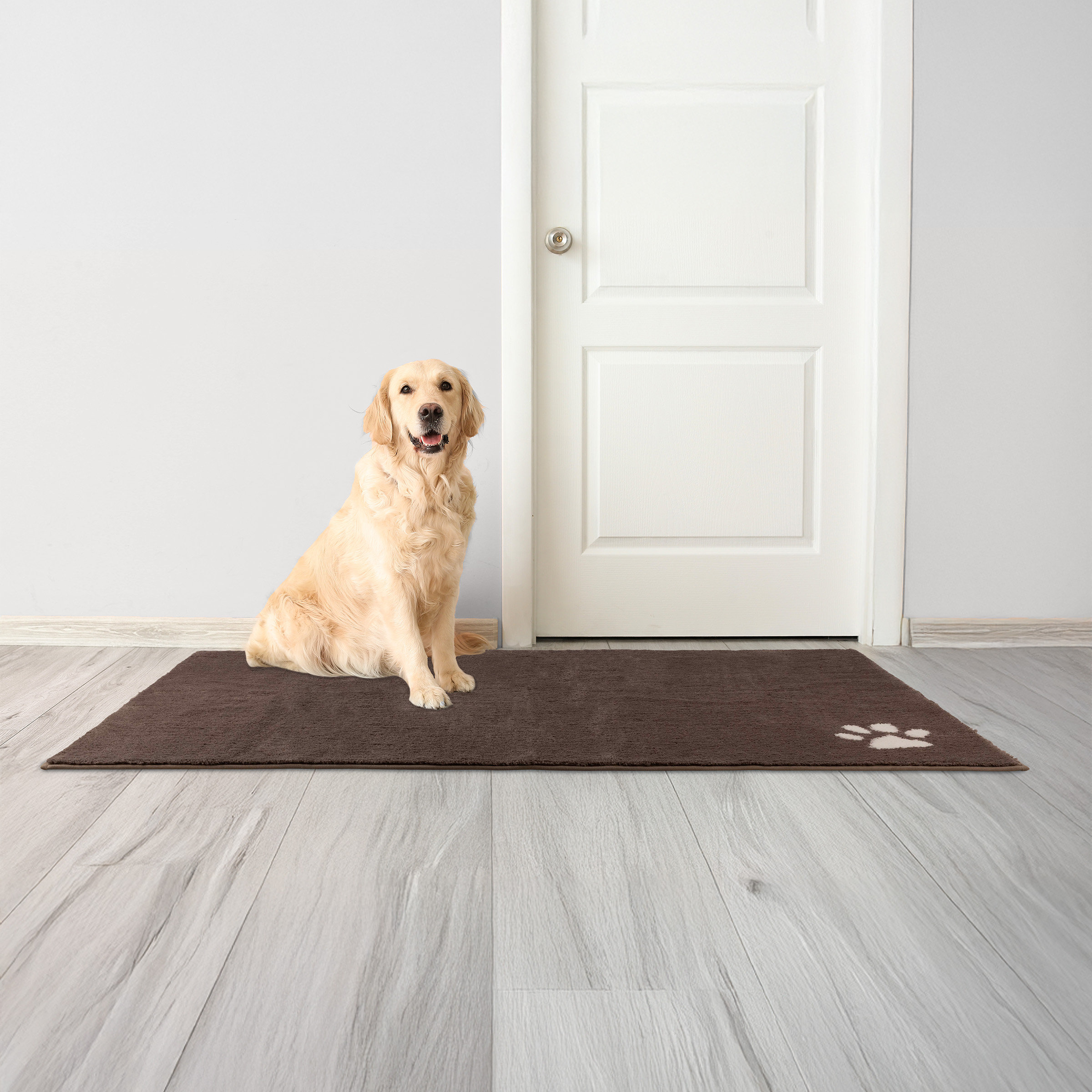 Petmaker Dog Door Mat Entryway Rug with Non-Slip Back - Super Absorbent ...
