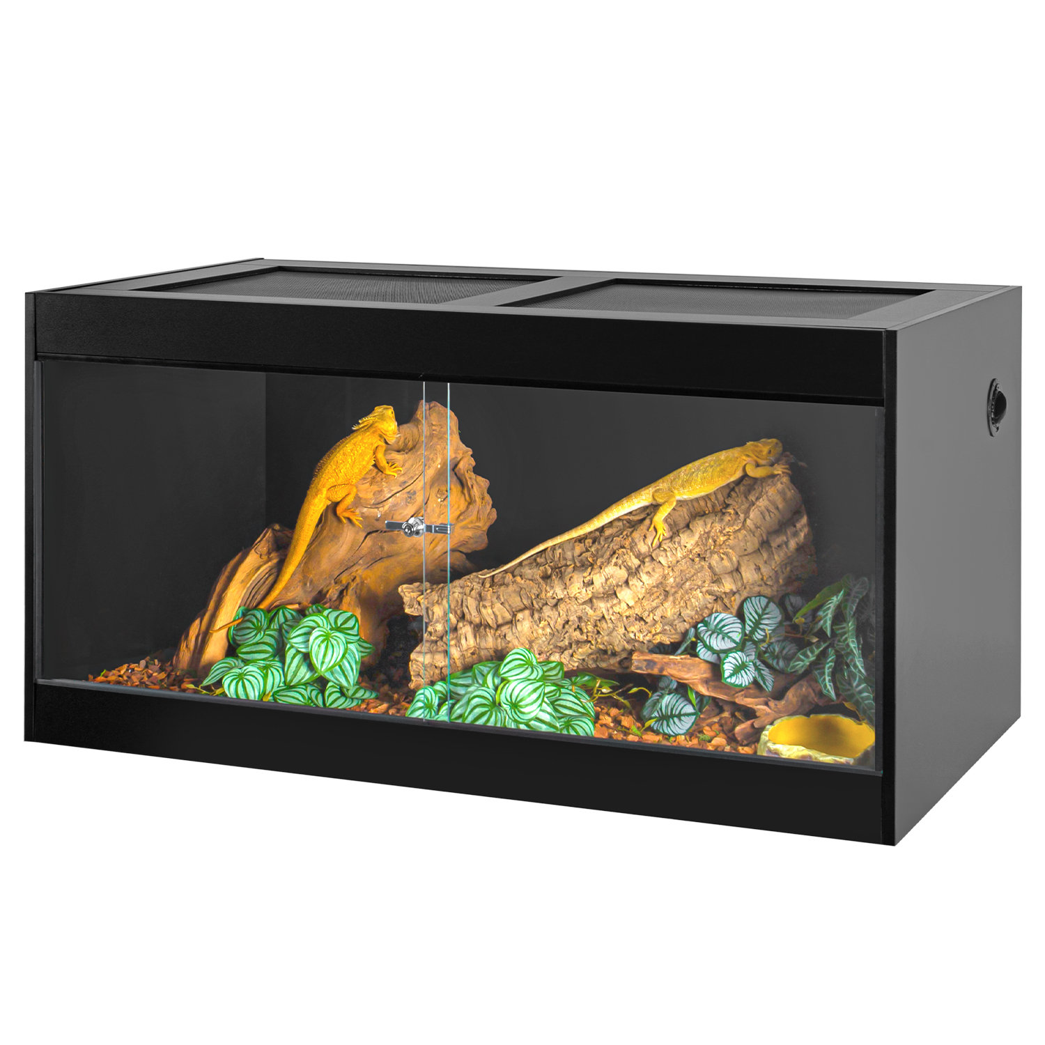 OiiBO 120 Gallon PVC Reptile Terrarium, 48"X24"X24" With Glass Doors ...