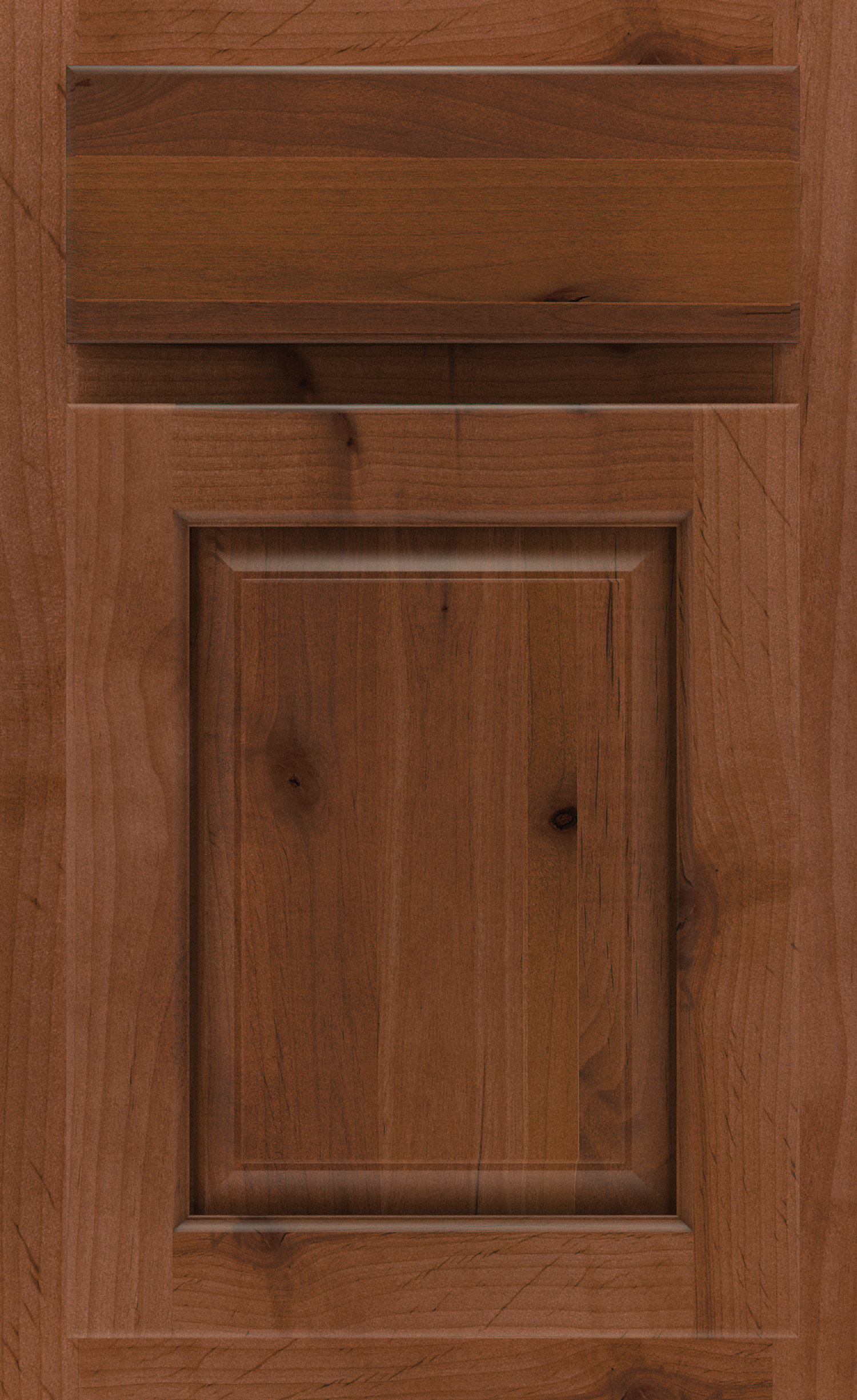 Dwelling Cabinet Co Prestwick Raised Panel Door Sample | Wayfair