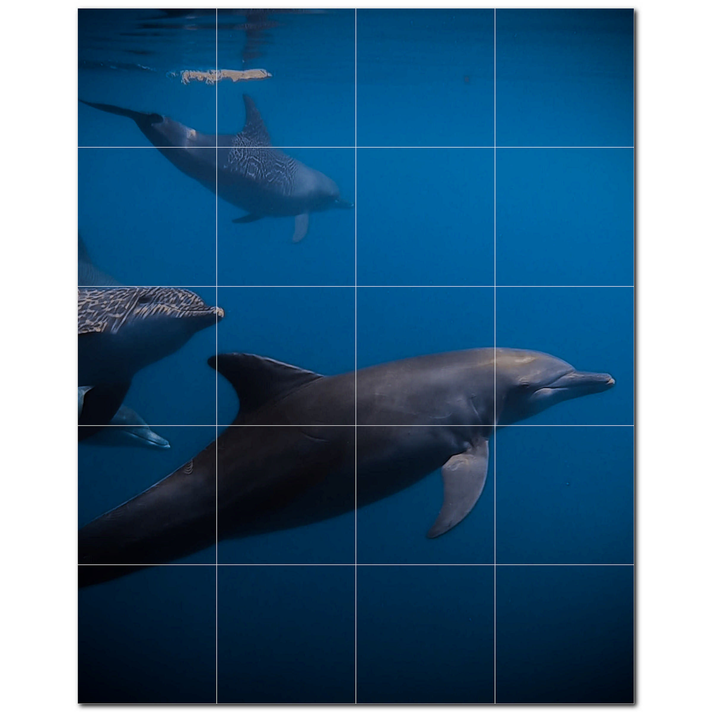 Picture-Tiles.com 60" x 36" Ceramic Dolphin Photo Decorative Mural Tile ...
