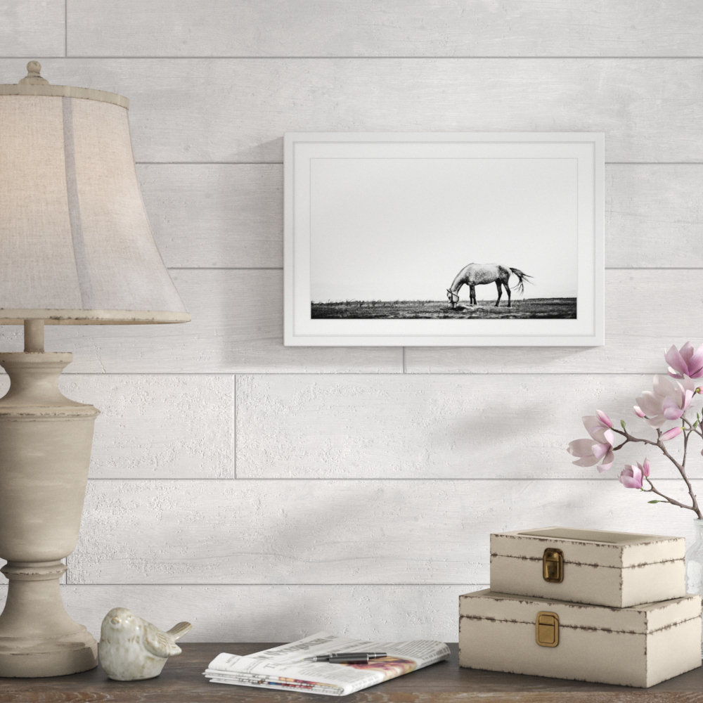 Gracie Oaks Lone White Equus by Marmong Hill - Picture Frame Photograph ...