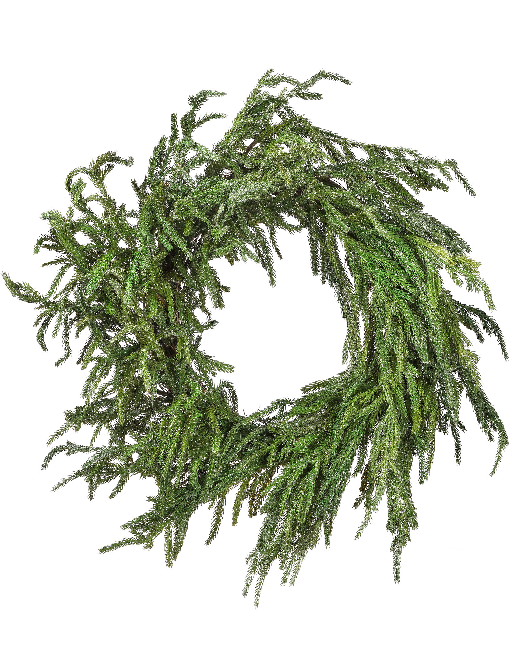 The Holiday Aisle® Iced Garden Norfolk 24" Wreath & Reviews | Joss & Main