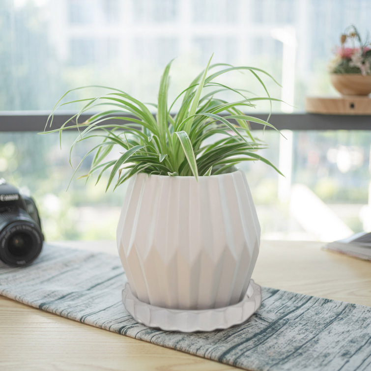KRALIX Ceramic Pot Planter - Wayfair Canada