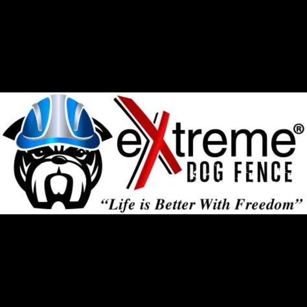 Invenitiah Portable Static Dog Fence Wire | Wayfair