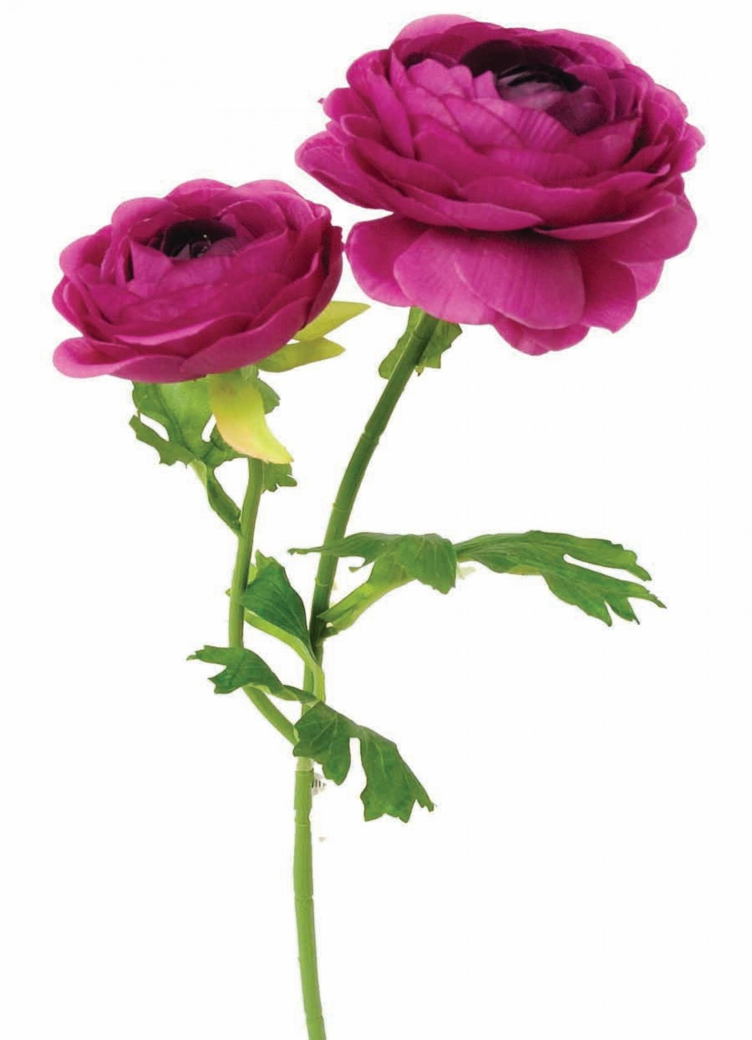 Primrue Ranunculus Garden Stem Artificial Flower | Wayfair