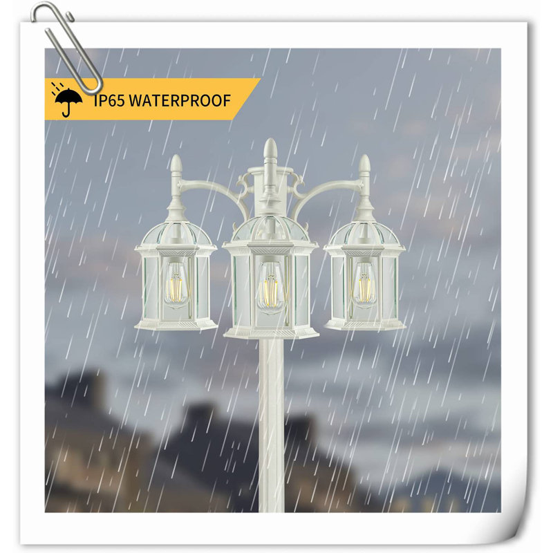 Alcott Hill® Cyntoria Transparent Lamp Post (Full) | Wayfair