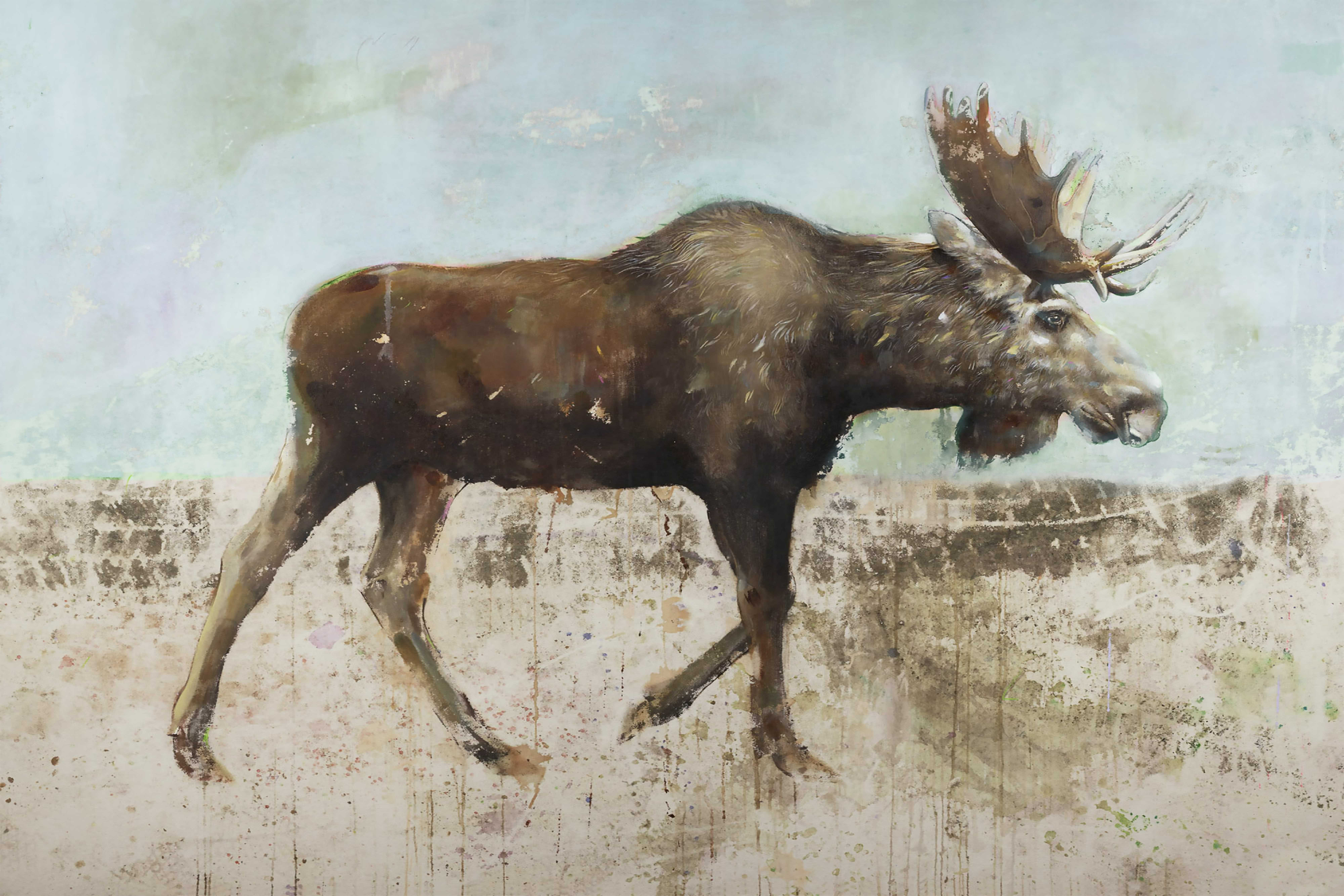 Millwood Pines Warfel Spirit Moose I by - Wrapped Canvas Print | Wayfair