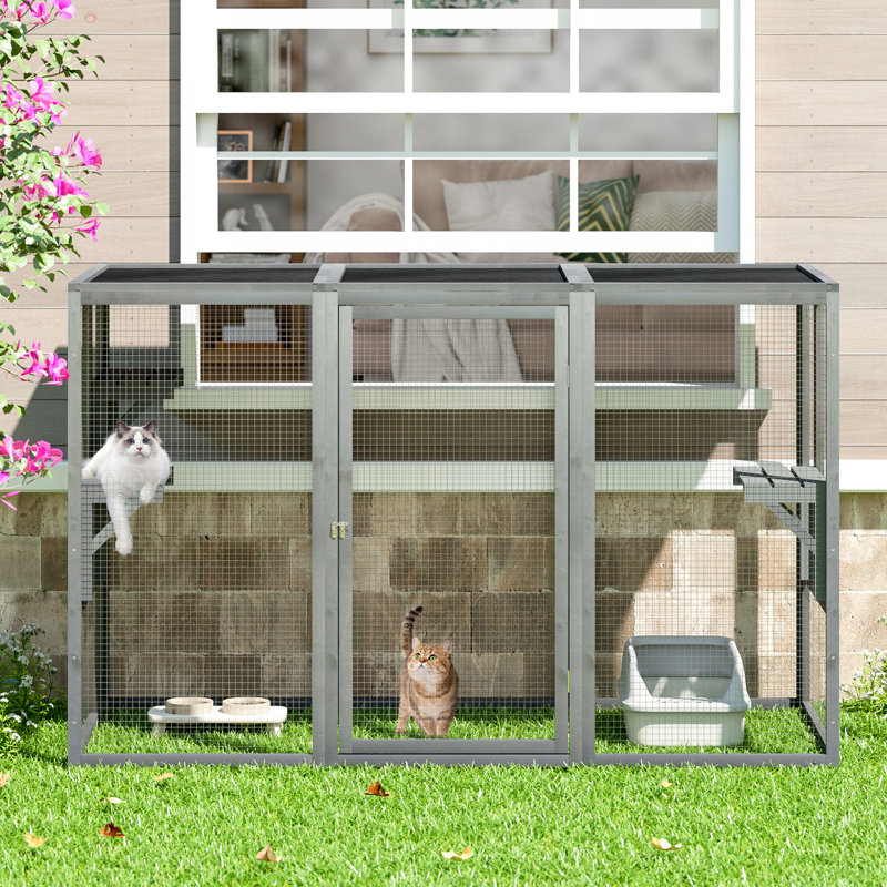 Tucker Murphy Pet™ Chamika Outdoor Cat Cage Enclosure, Playpen ...