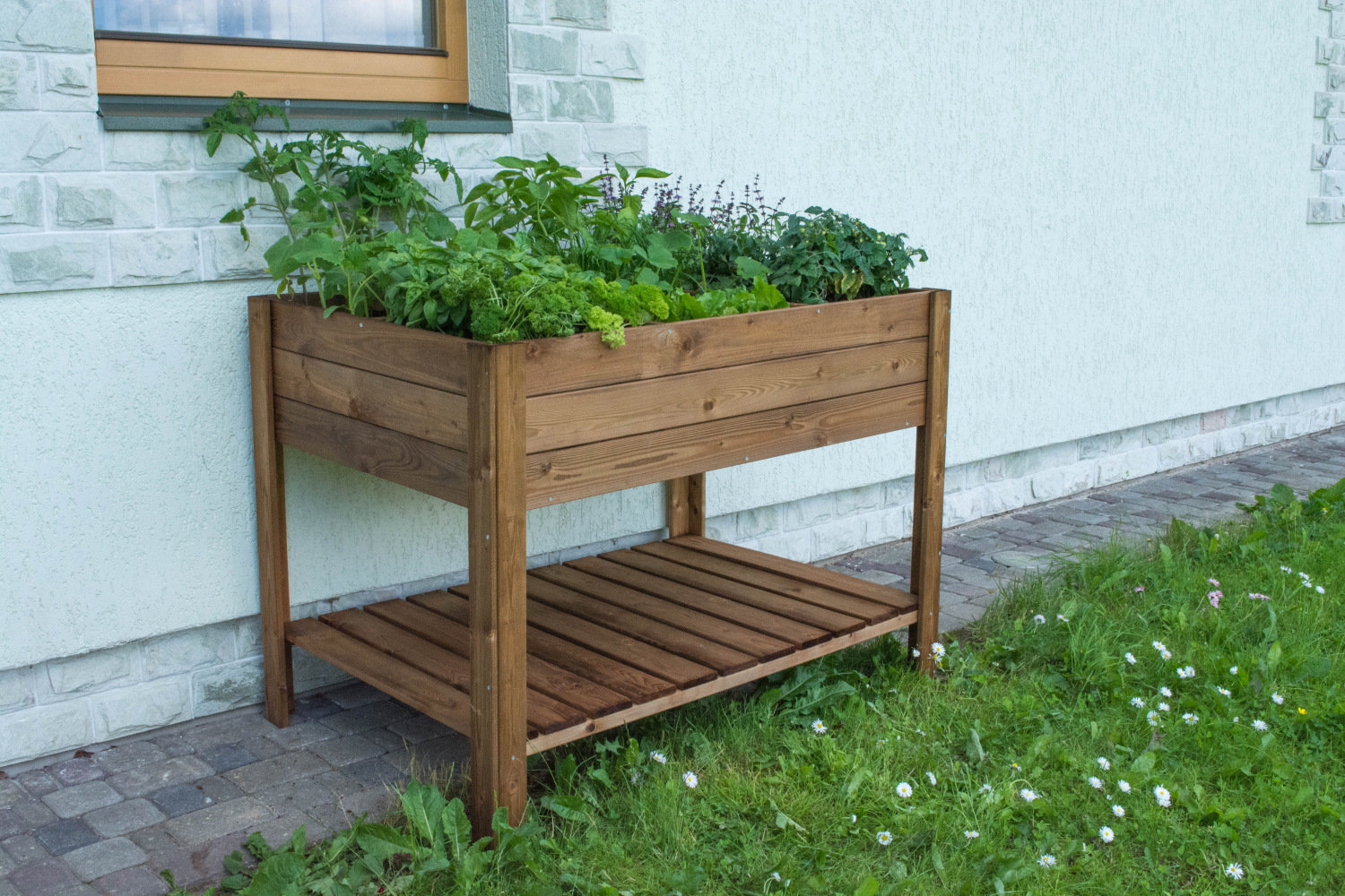 Arlmont & Co. Tierra Garden 66 Gallon Capacity Rectangular Raised Bed ...