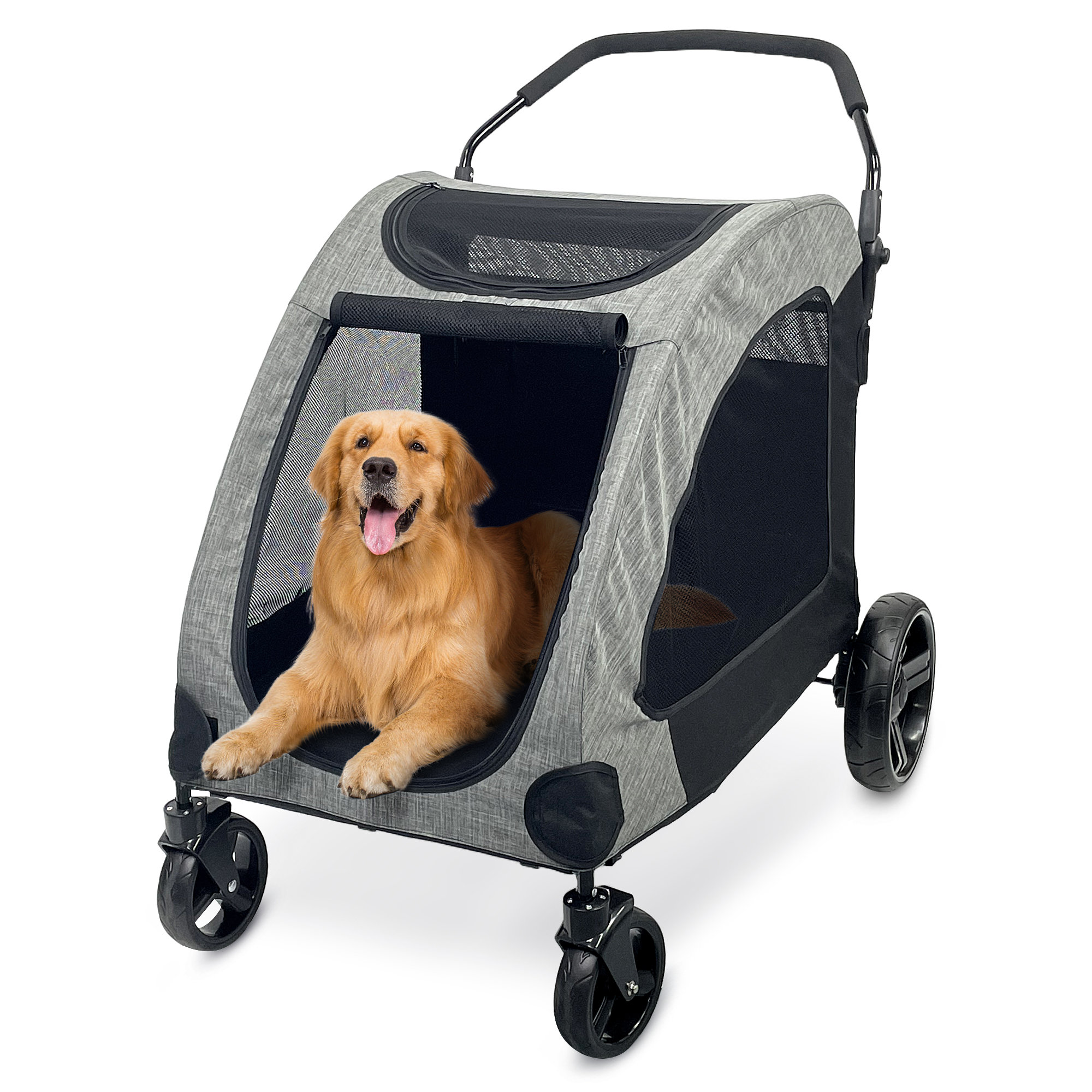 Poloma Folding Jogger Stroller & Reviews - Wayfair Canada
