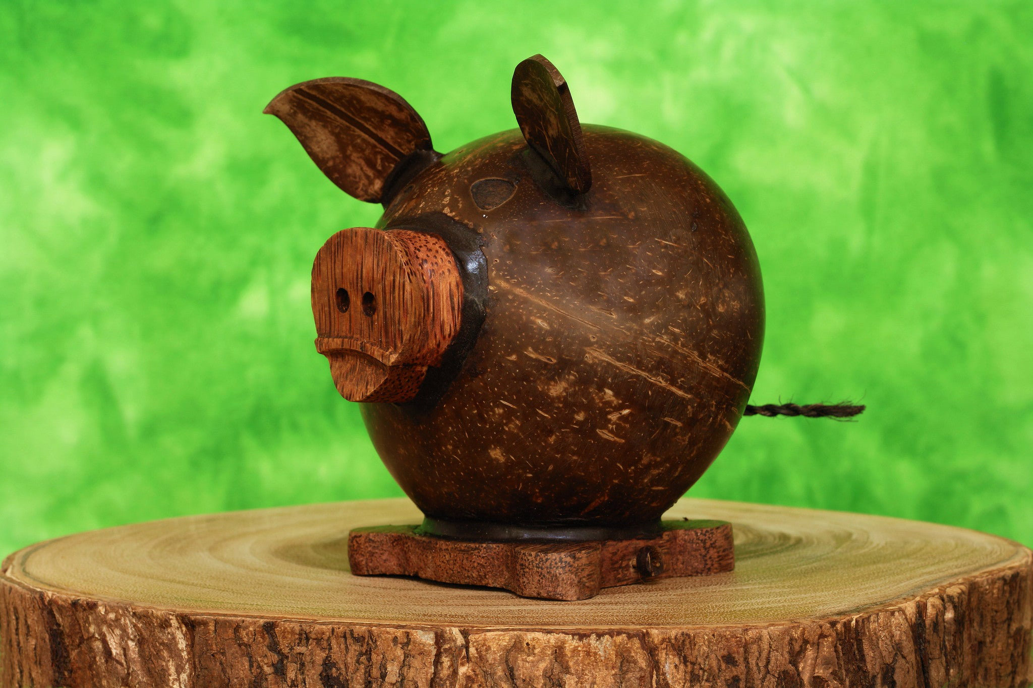 Rosalind Wheeler Handmade Coconut Shell Wood Cute Pig Coin Piggy Bank ...