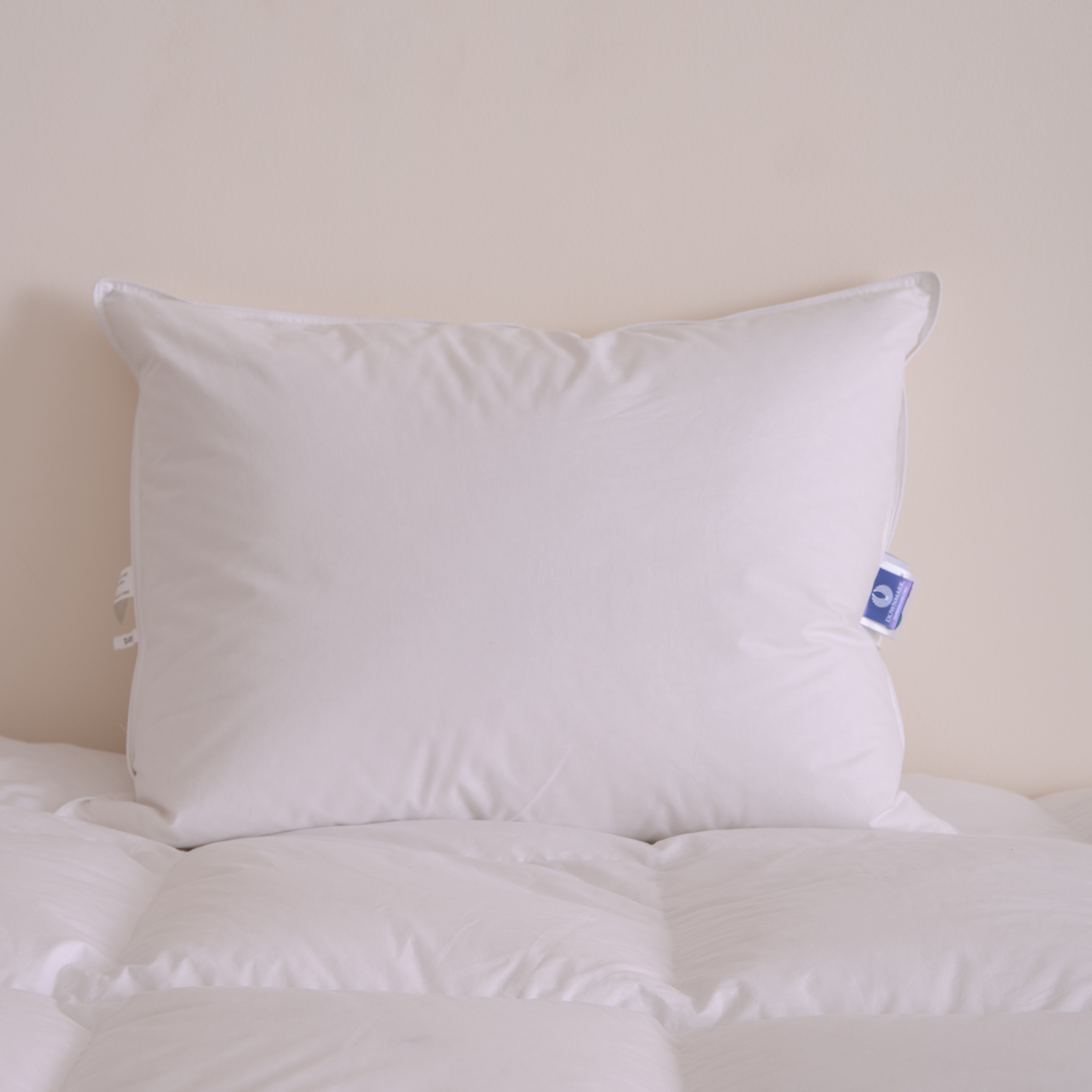 Alwyn Home Tencel Natural Cotton Shell 600 Fill Power White Down ...