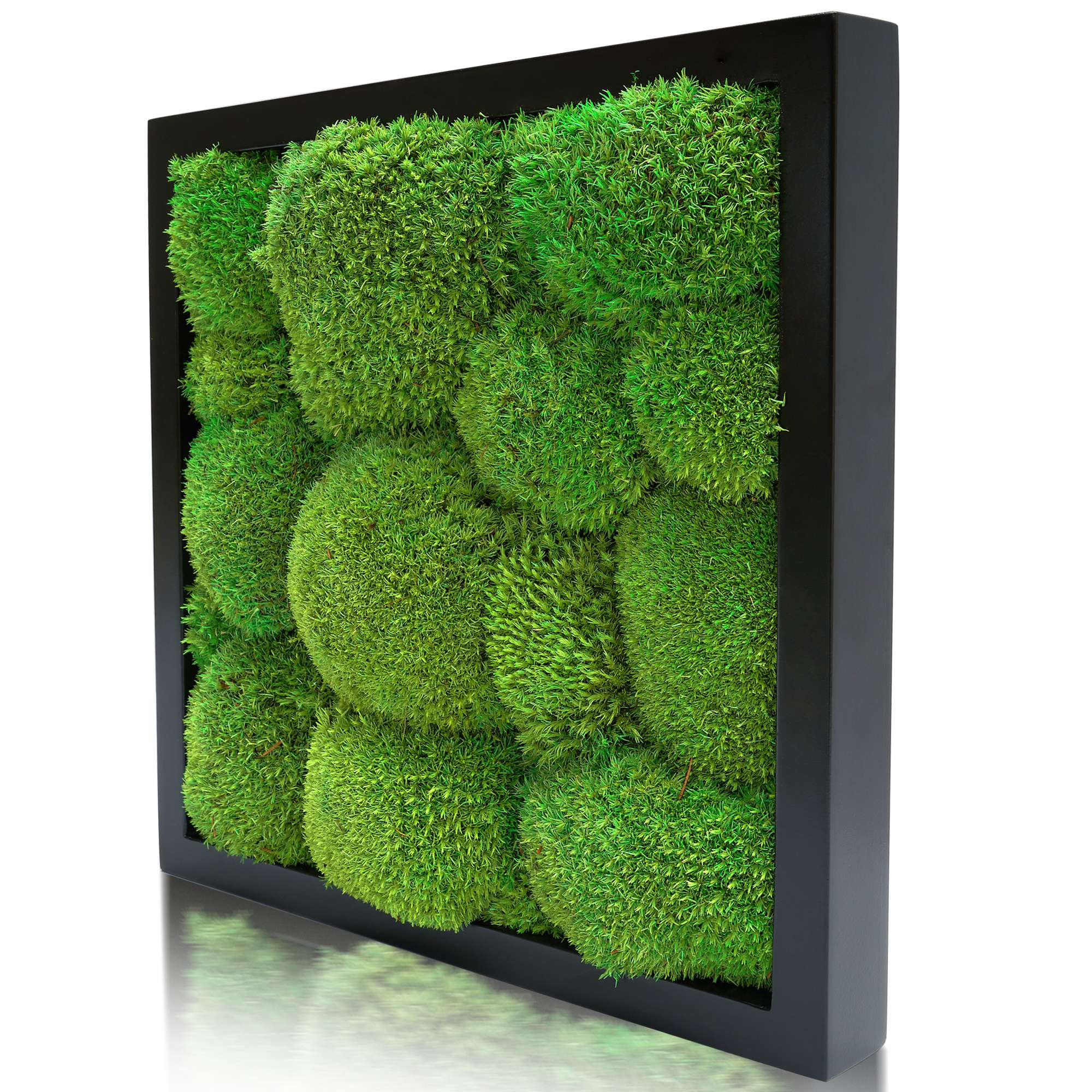 Naturewalls Moss Picture Round Pole Moss - Plant Picture In A Solid ...