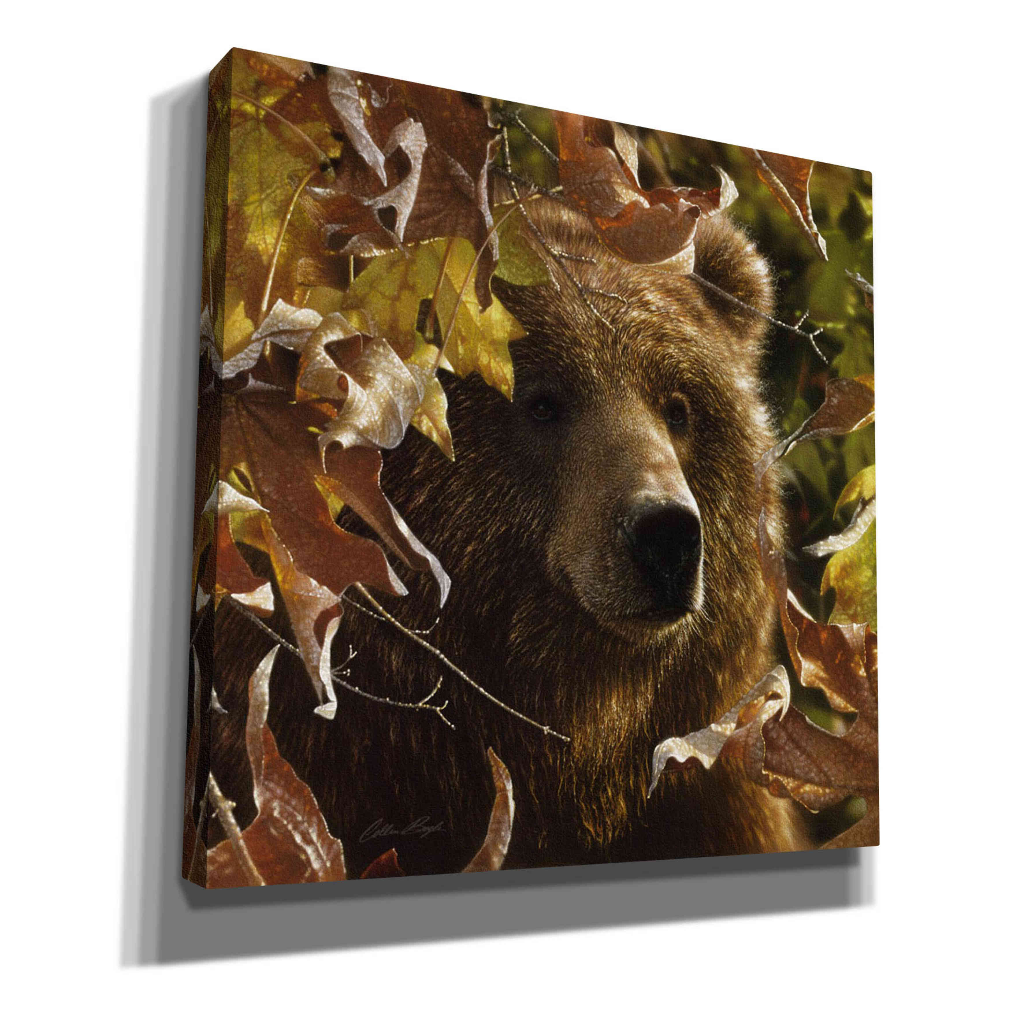 Millwood Pines 'Legend Of The Fall' By Collin Bogle, Canvas Wall Art ...