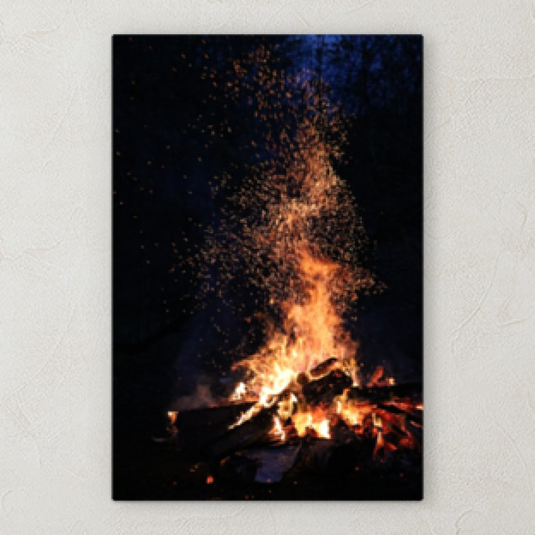 Millwood Pines Fire (24) On Canvas Graphic Art | Wayfair
