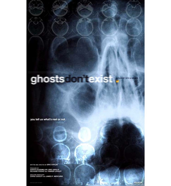 Posterazzi Ghosts Don't Exist Movie Poster On Paper Print - Wayfair Canada