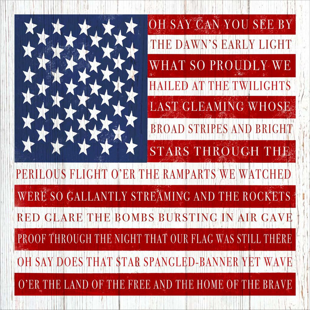 The Holiday Aisle® Oh Say Can You See By Elizabeth Tyndall, Canvas Wall ...