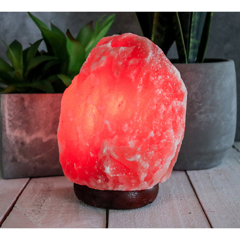 Dakota Fields Natural Dark Red Salt Lamp | Wayfair