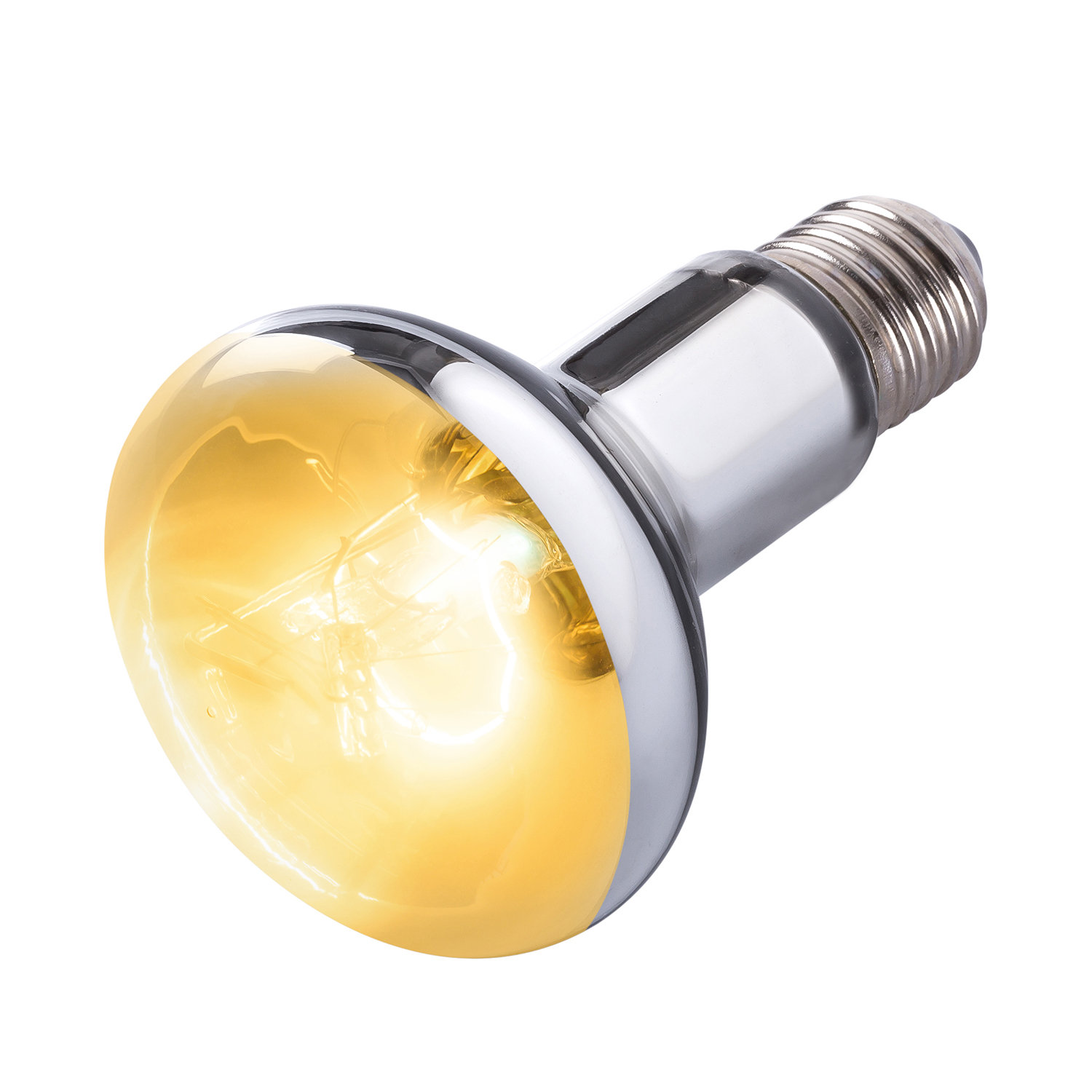 REPTIZOO 100 Watt, G95 Incandescent, Non-Dimmable Light Bulb, Warm ...