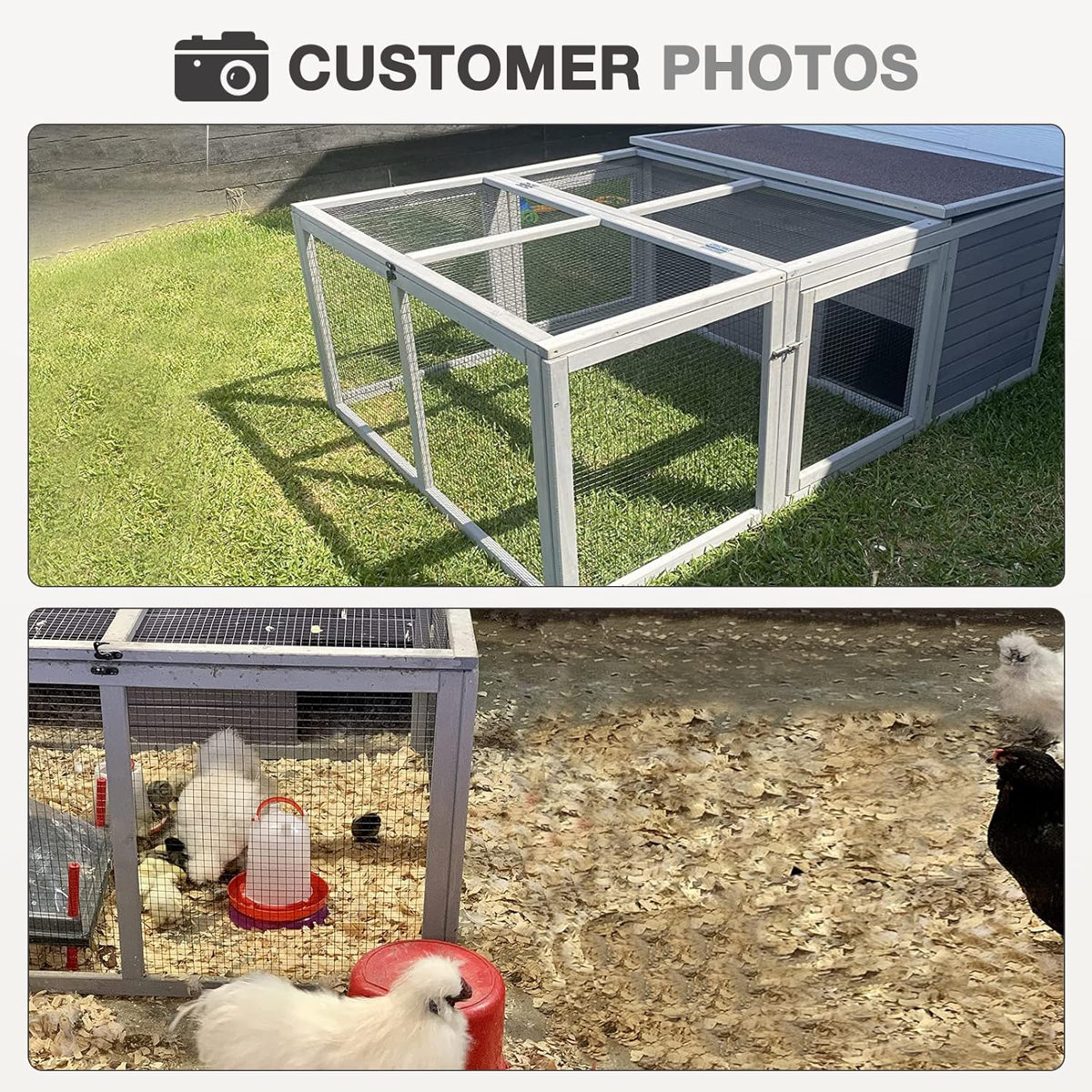 Tucker Murphy Pet™ Garvin Chicken Run & Reviews | Wayfair