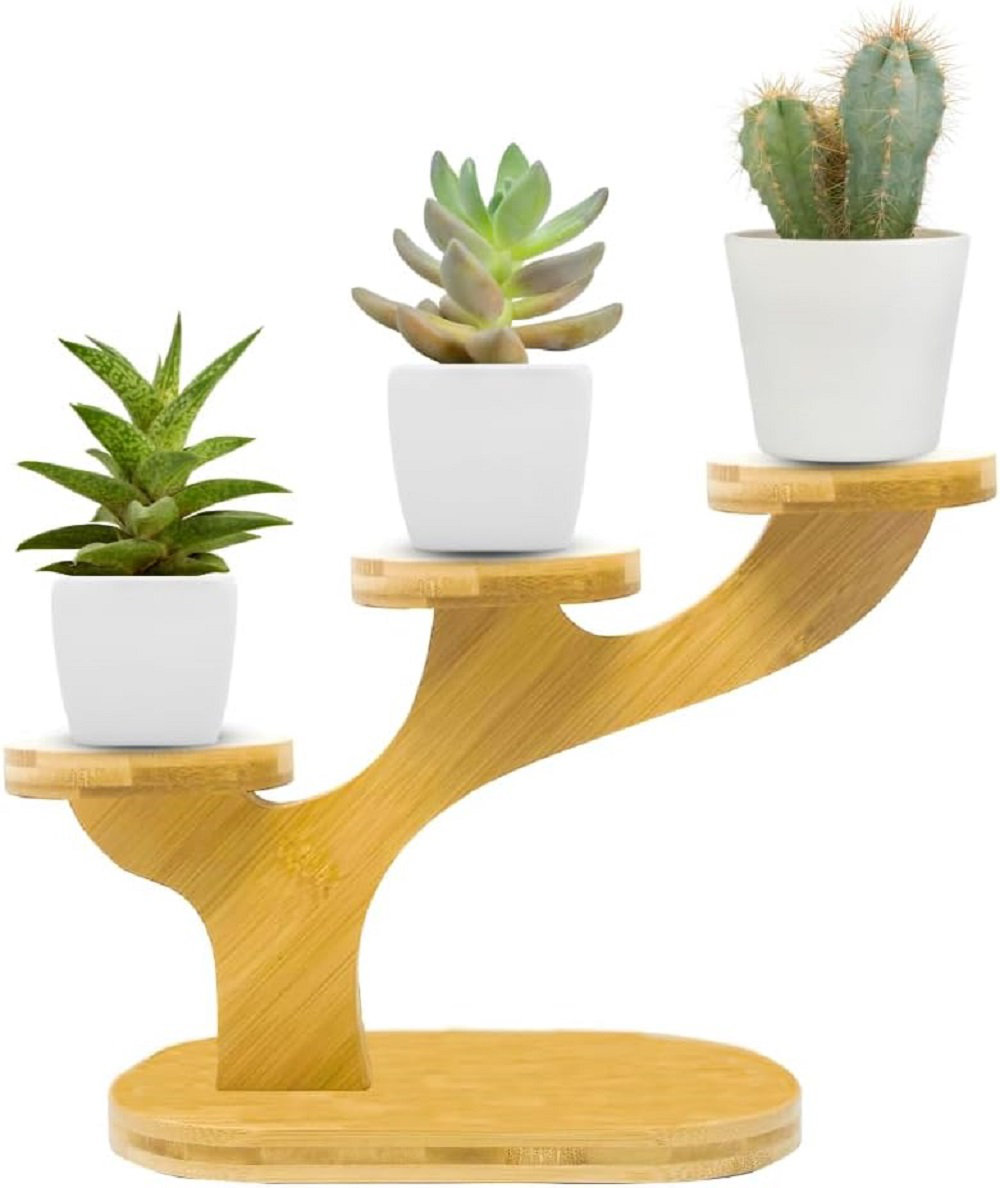 Millwood Pines Eusevia Tabletop Plant Stand | 4 Tier Design Fits ...
