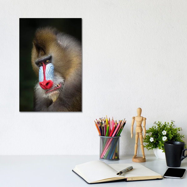 Latitude Run Mandrill Growl by Mogens Trolle - Wrapped Canvas Print ...