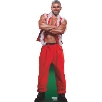Star Cutouts Sexy Santa Standee - Wayfair Canada