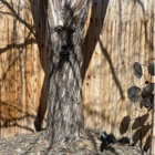 GenuineTreePeeple Simon Tree Face Concrete Garden Decor & Reviews | Wayfair