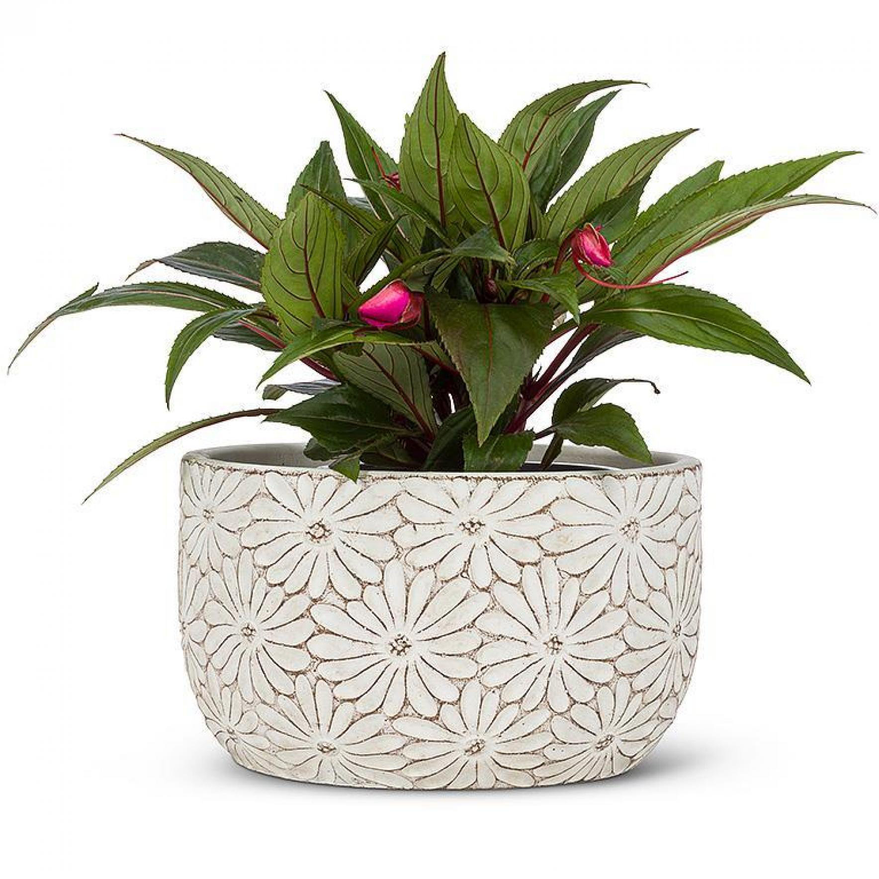 Ophelia & Co. Low Round Daisy Planter | Wayfair
