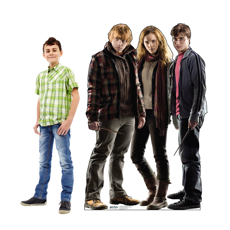 Advanced Graphics Harry Potter Ron, Hermione, Harry Cardboard Stand-Up ...