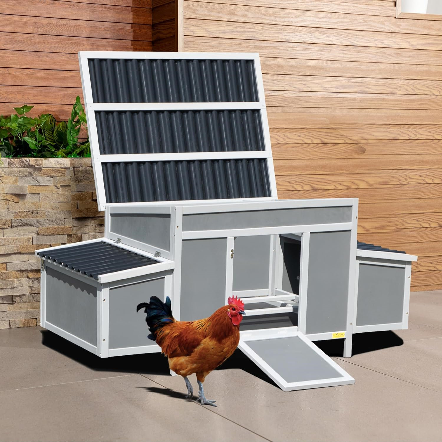 Tucker Murphy Pet™ Large Chicken Coop, 58" Wooden Chicken Hutch With ...