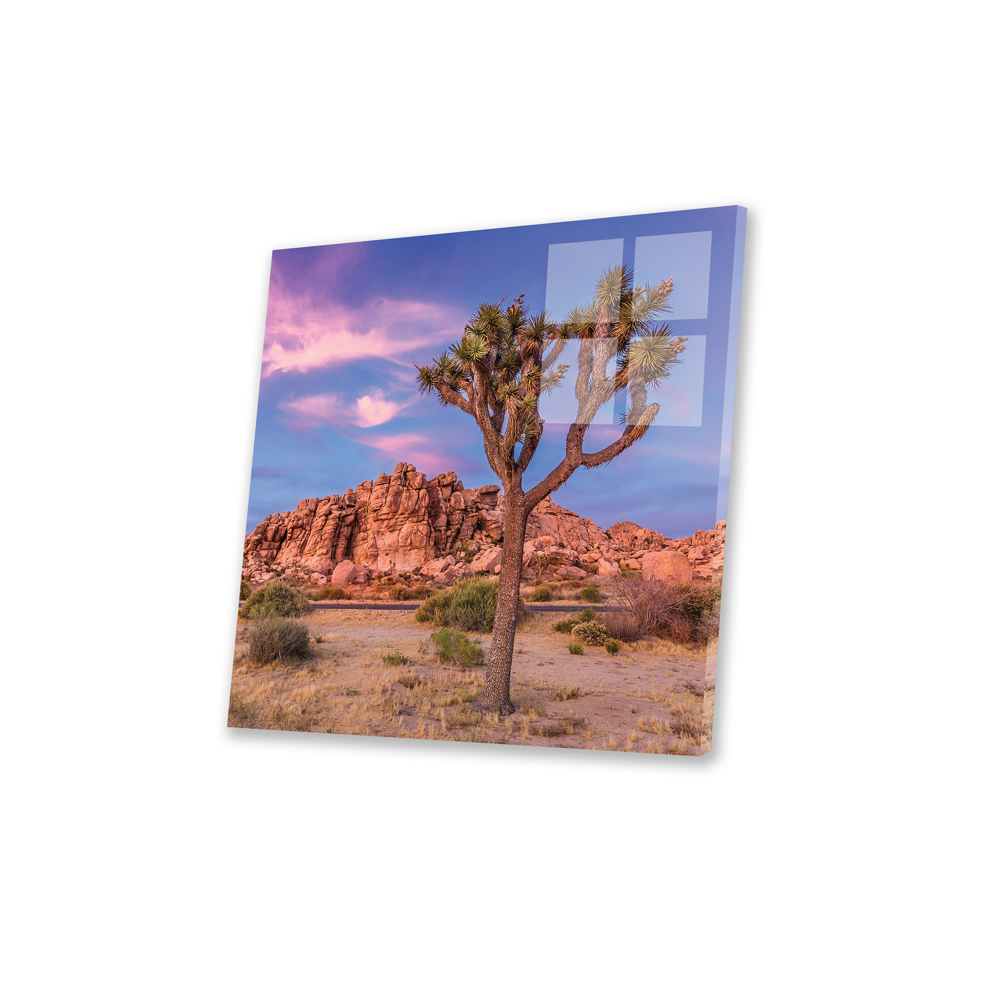 Foundry Select Joshua Tree Evening Scenery Print On Acrylic Glass ...