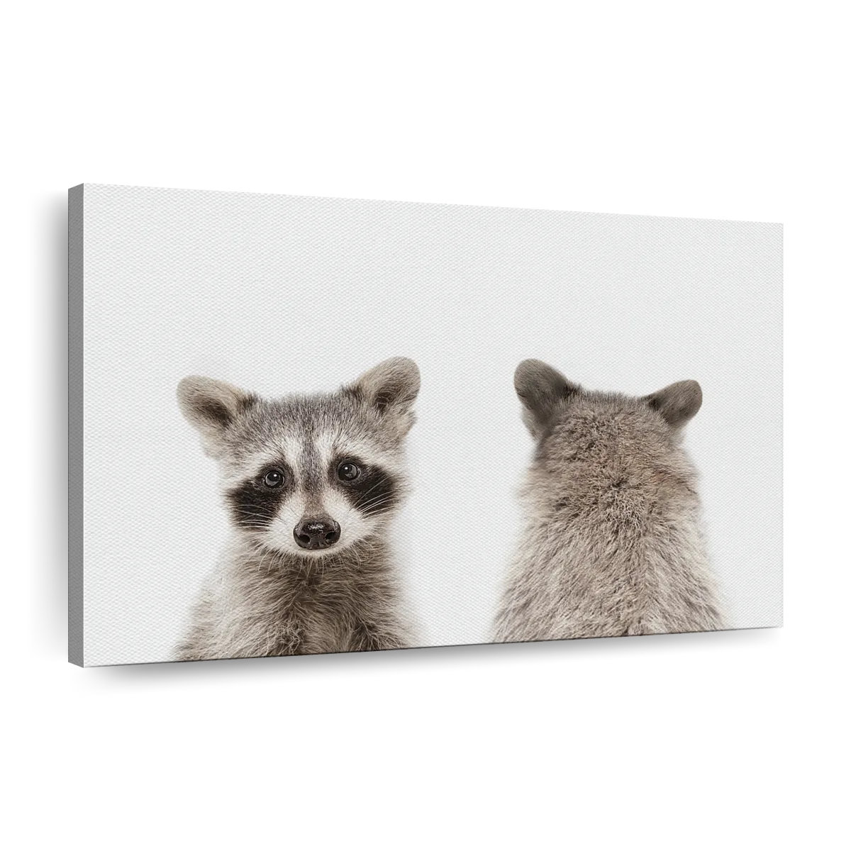 Ebern Designs Raccoon Front And Back Portrait Canvas Print - Wayfair Canada