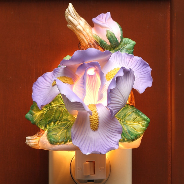 Cosmos Gifts Iris Night Light & Reviews | Wayfair