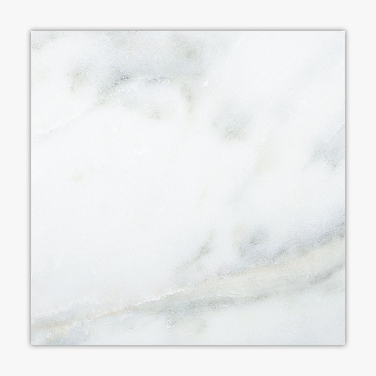 Direct Stone Source Calacatta 18" x 18" Marble Marble Look Wall & Floor ...