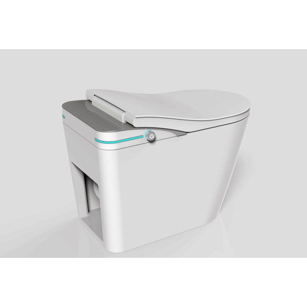 SHANRUGUOJI Smart Toilet With Built-In Heated Seat, Tankless Toilet ...