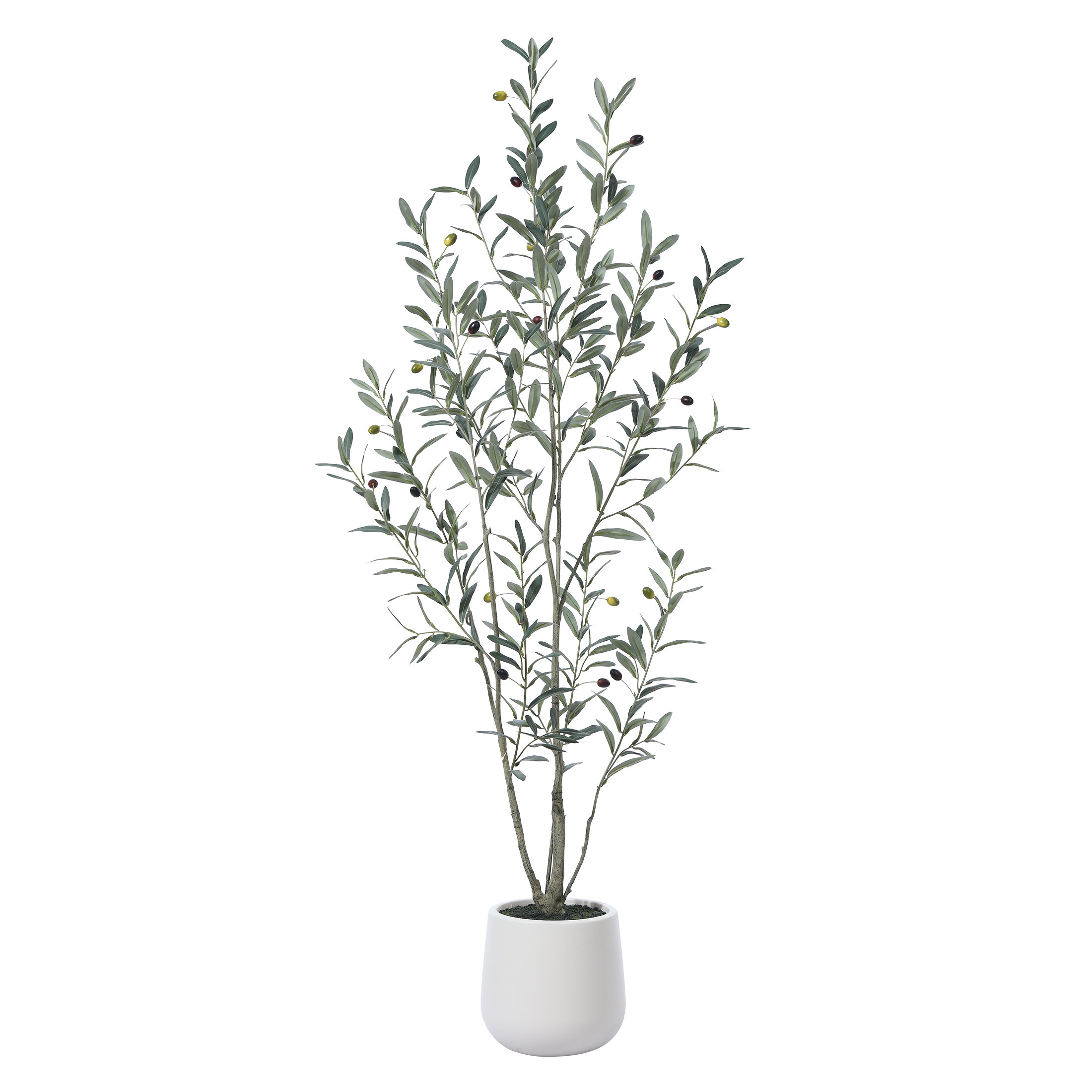 Joss & Main George Fake Plastic Olive Tree with Oval White Planter, Pre ...