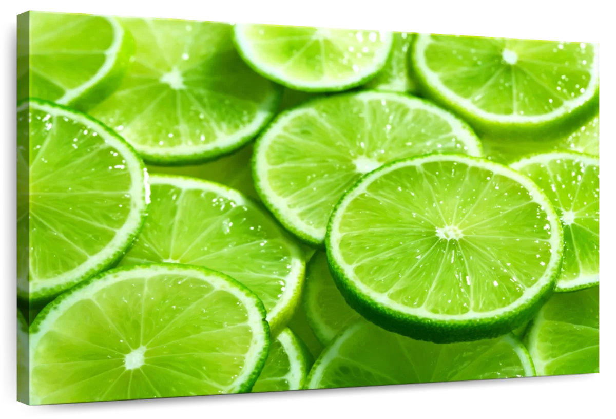Elephant Stock Lime Slices | Wayfair