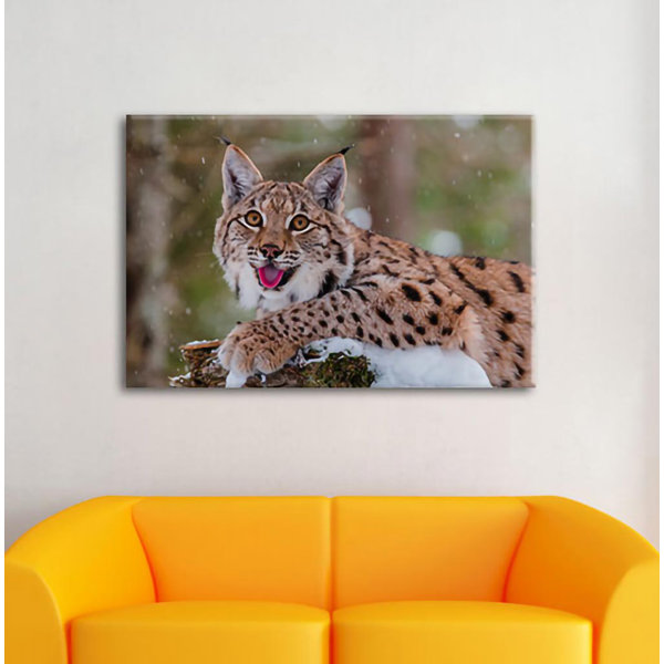 Alpen Home Lynx On Snow Covered Tree Stump - Wrapped Canvas Print ...