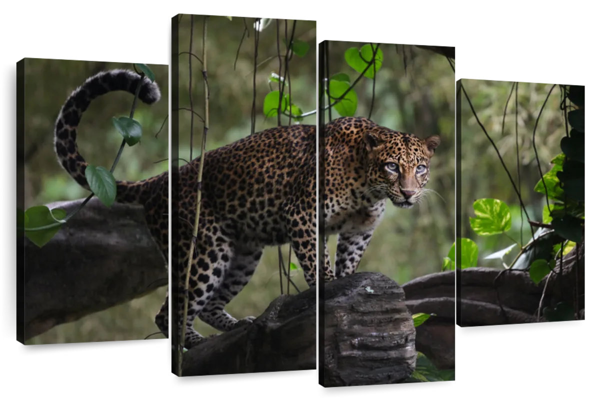 Ebern Designs Brampt Indonesian Leopard | Wayfair