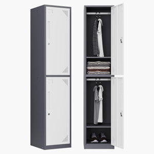 Steelcube 2 - Tier 2 - Section 15" Wide Gym Locker & Reviews | Wayfair