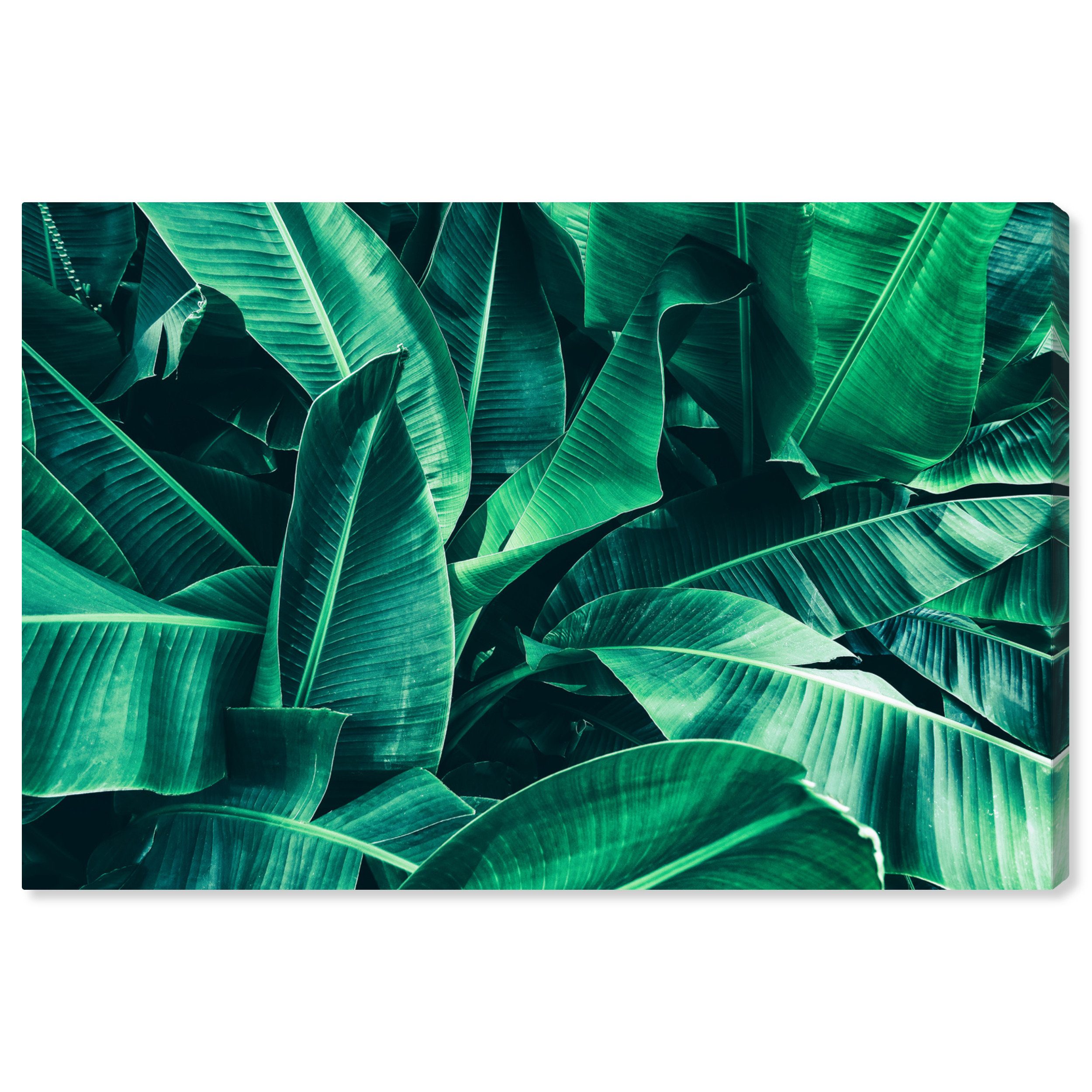 Bay Isle Home™ Floral and Botanical Lush Leaves Tropical Green Canvas ...